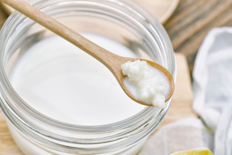 Kéfir VEGANO de Leche Vegetal: RECETAS Leche de Soja, Almendras, Coco ...