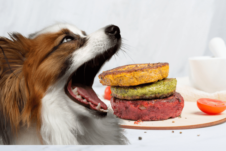 Hamburguesas para Perros | Receta 100% Casera – BABYCOCINA